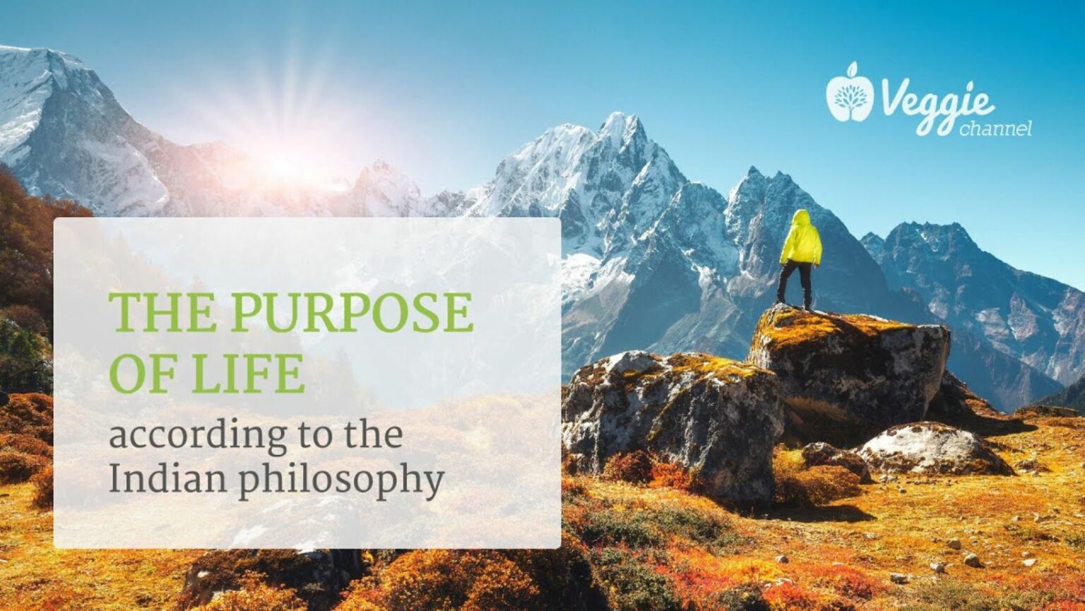 Exploring the Purpose of Life: A Philosophical Perspective - Squaringthenet